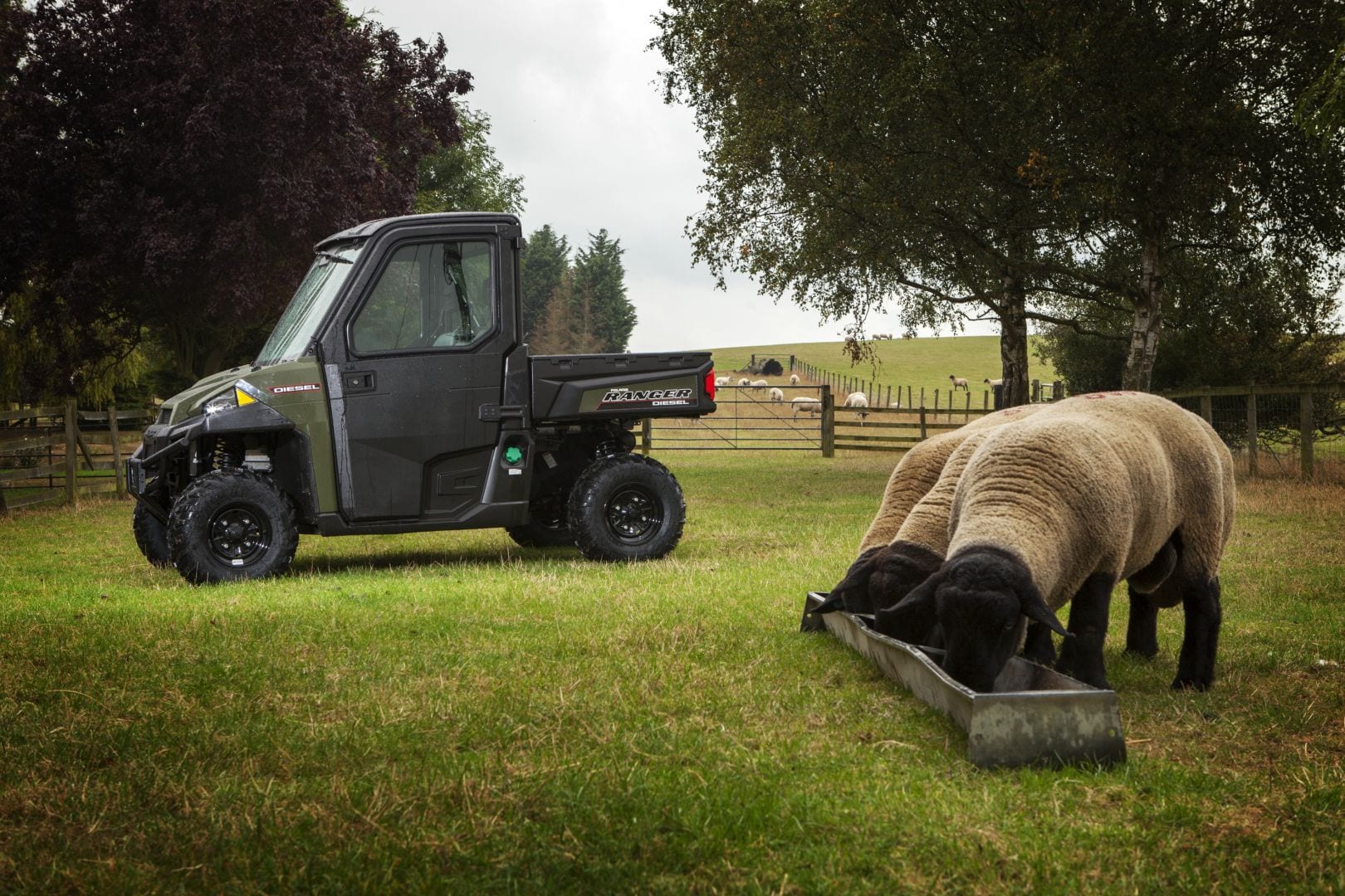 ATVs & UTVs from Honda, Polaris, Can-Am at C&O Tractors